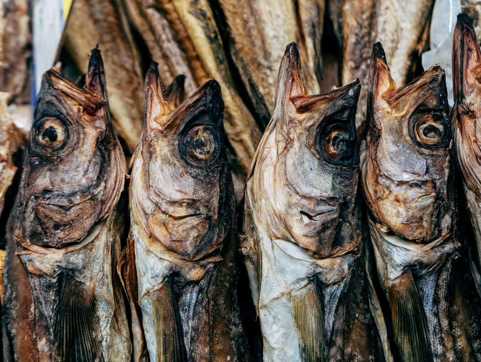 Pesci conservati nella cucina italiana: baccalà, stoccafisso e le ...