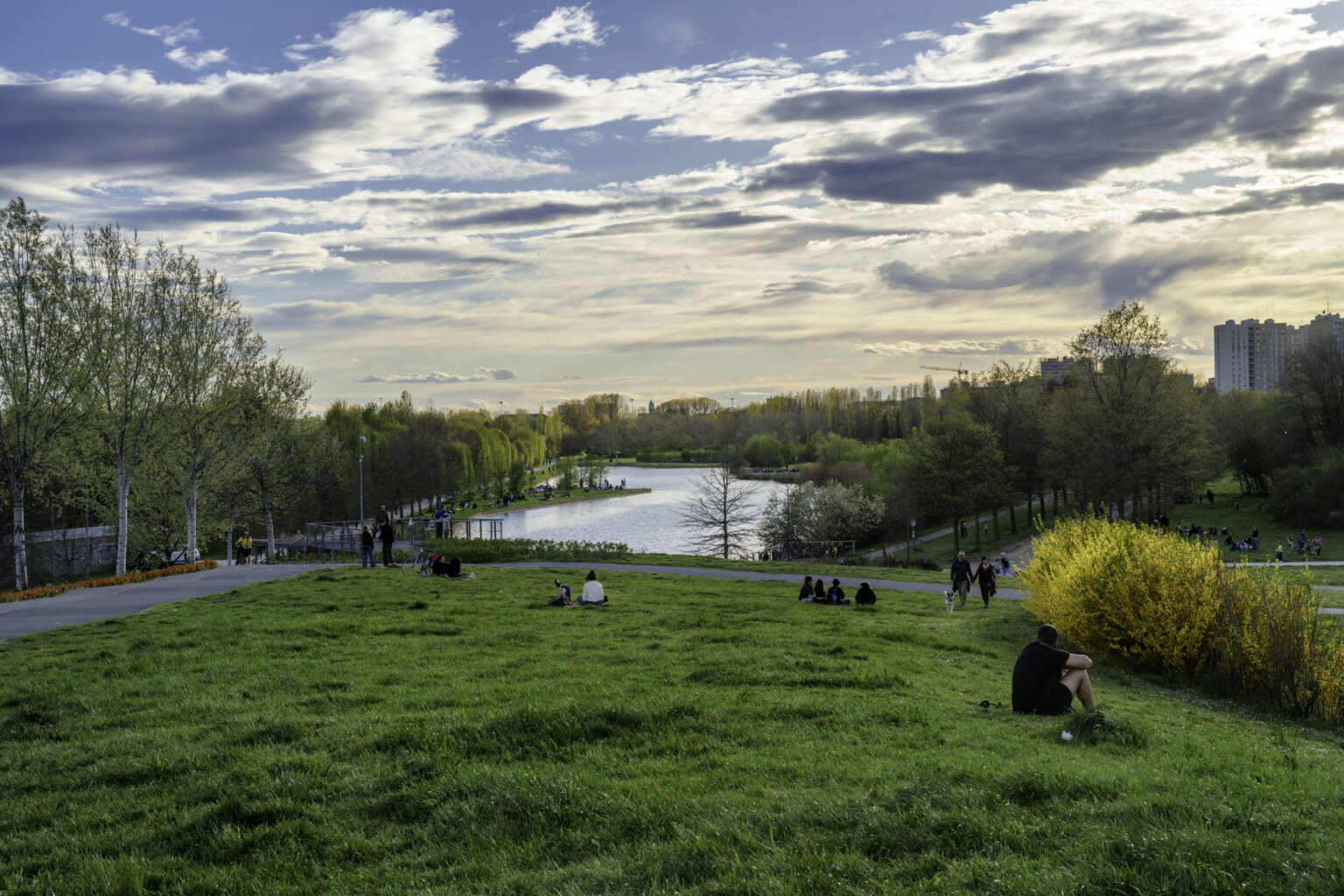 Esplorando il Parco Nord Milano: Un Polmone Verde nel Cuore della Città ...